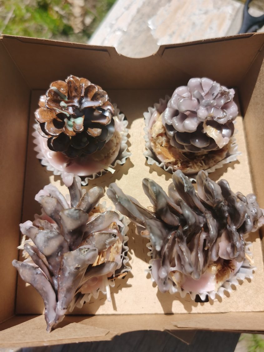 Handmade Beautiful Redneck Cupcake Fire Starters • MavenFair