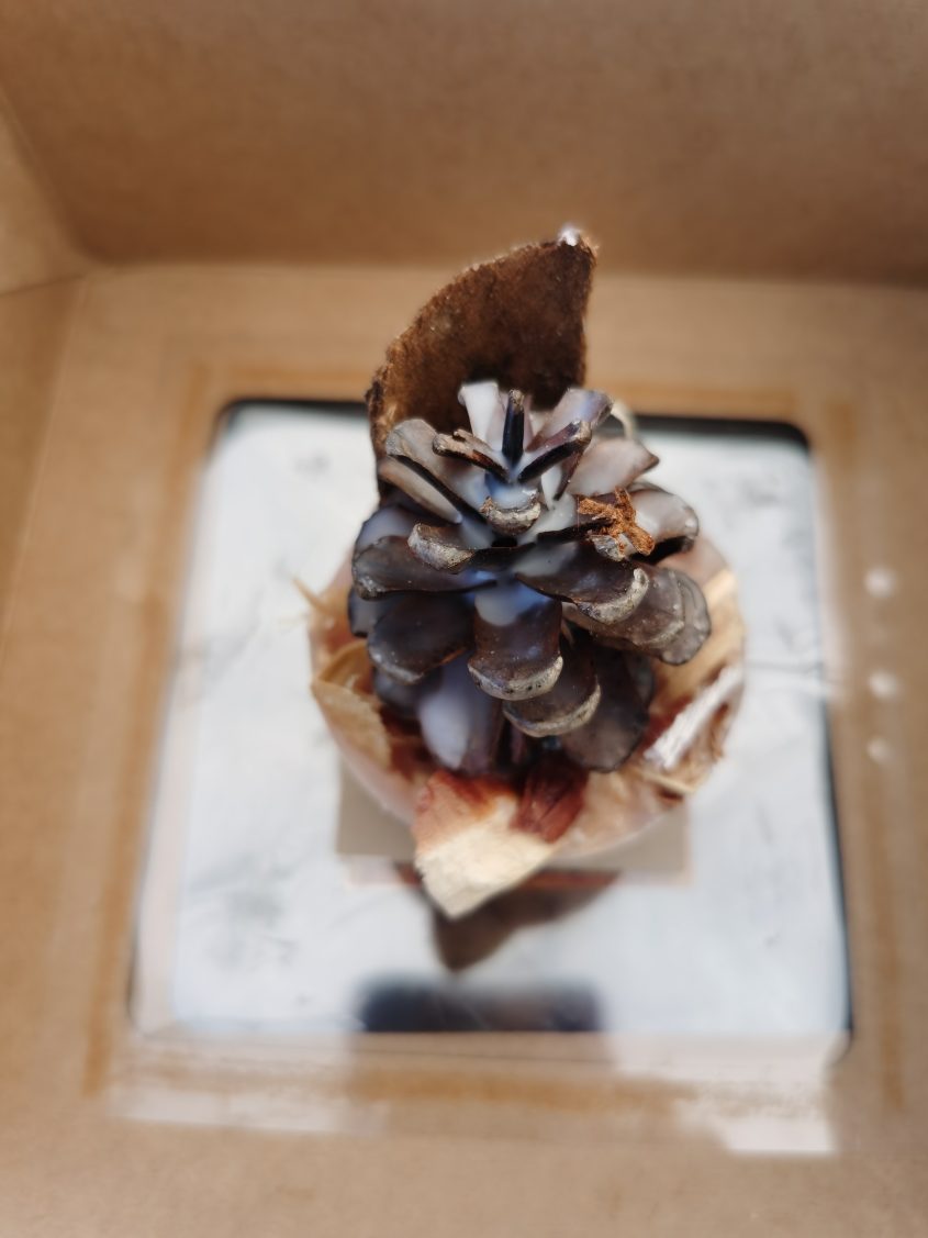 Handmade Beautiful Redneck Cupcake Fire Starters • MavenFair