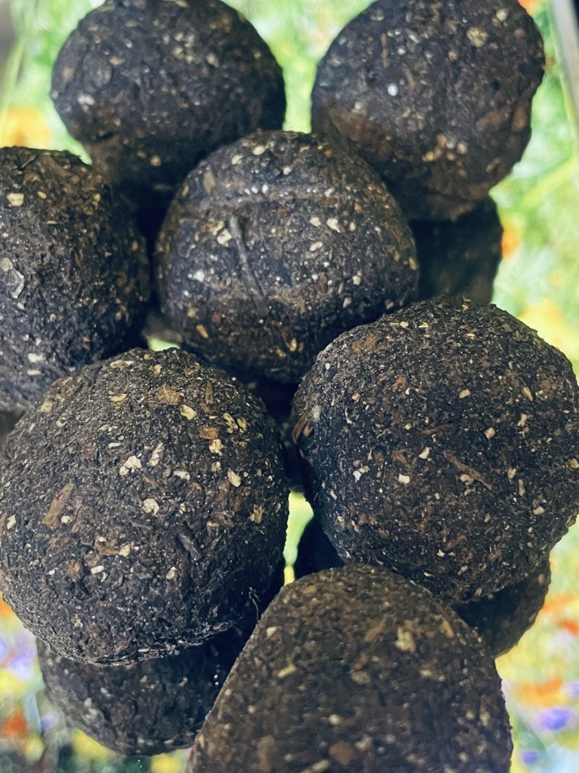 Seed Bombs - DIY Craft Kits • MavenFair